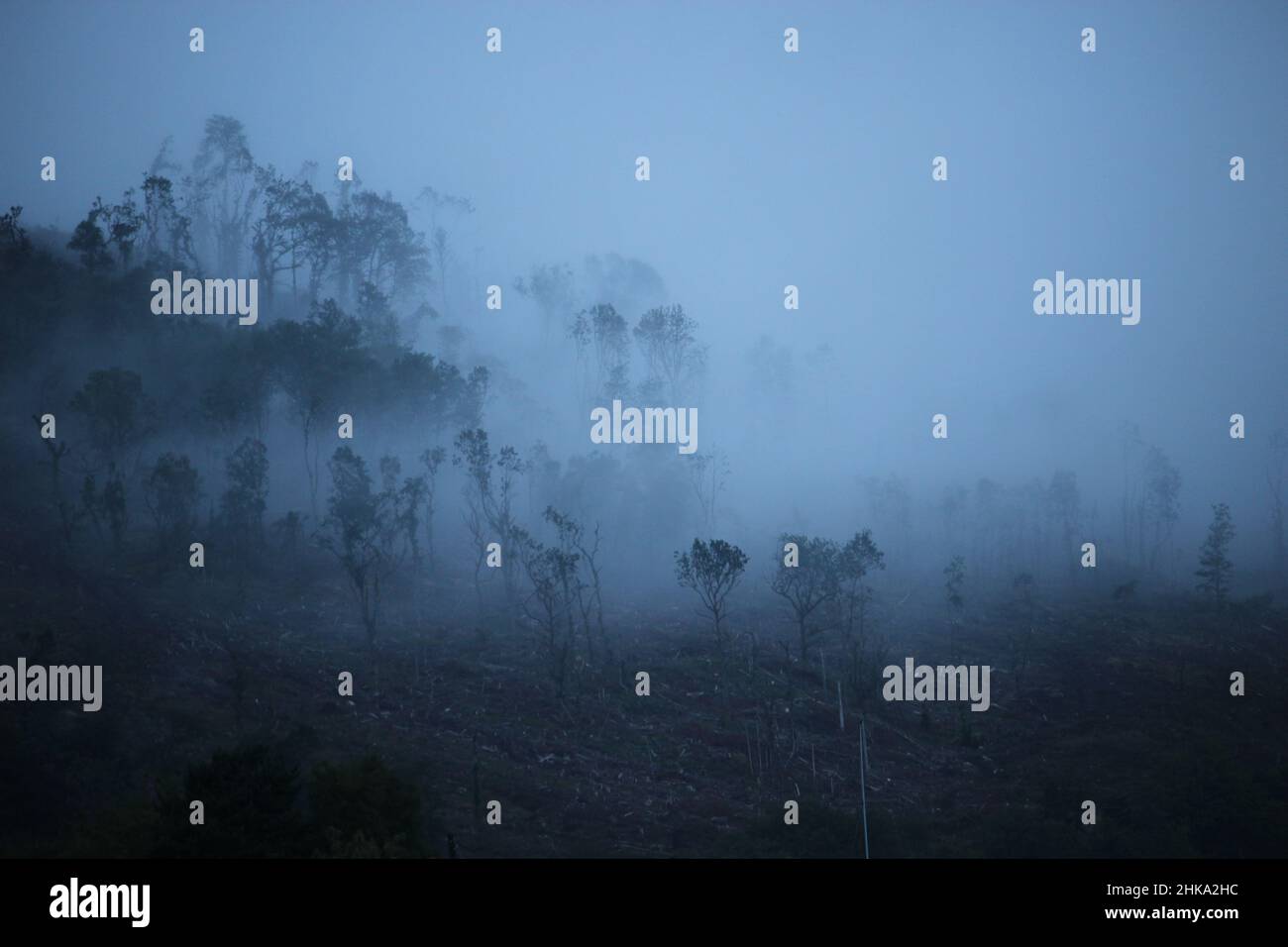 Spooky dark hillside hi-res stock photography and images - Alamy