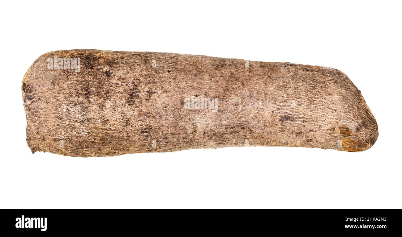 top view of whole tuber of african yam isolated on white background ...