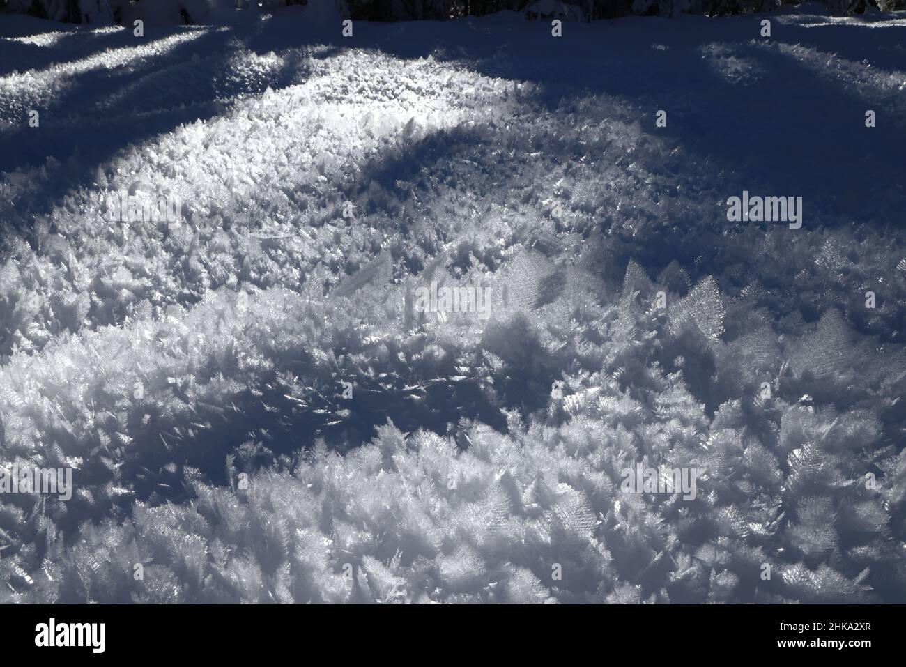 The snow of Val Saisera covered with ice crystals, Italy Stock Photo ...