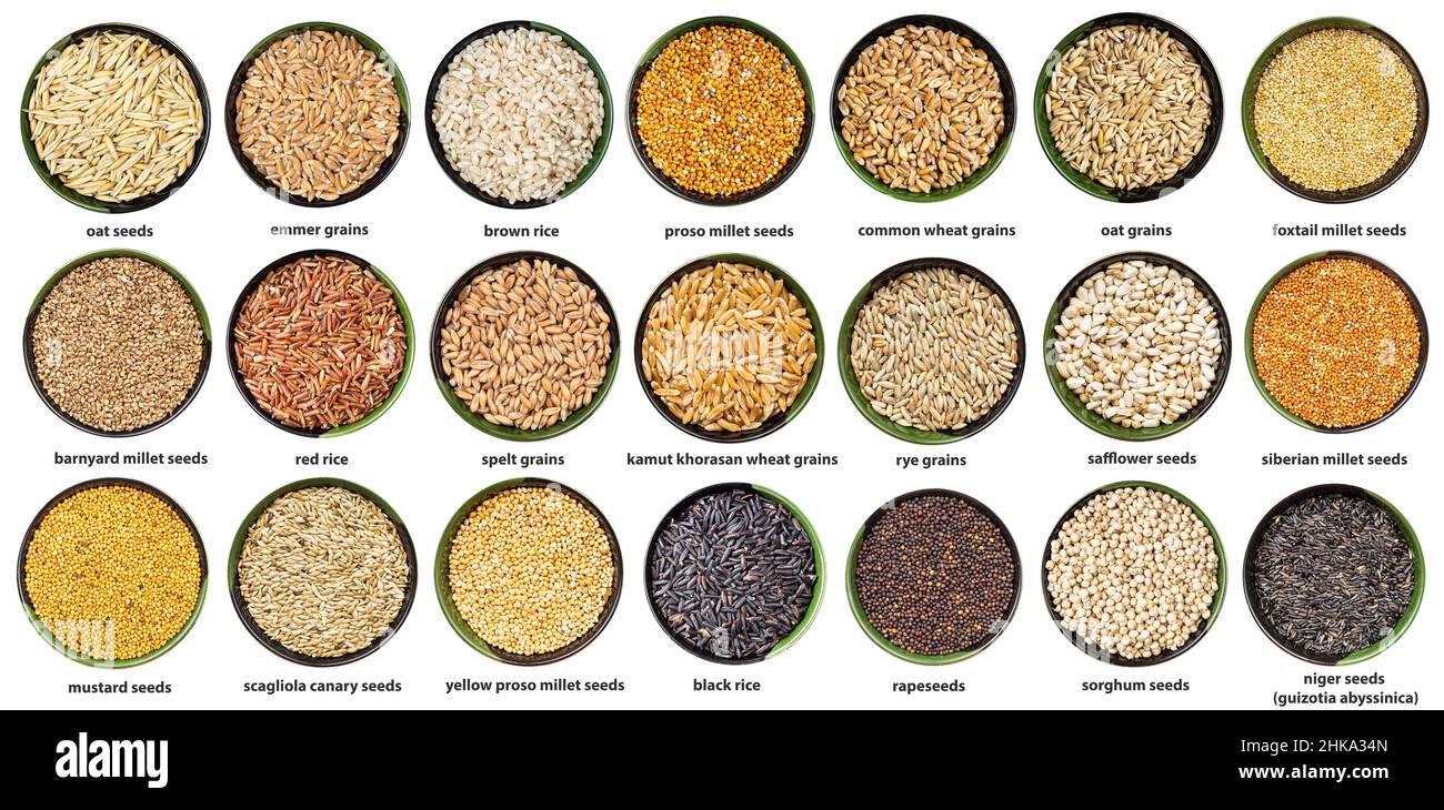 set of various seeds in bowls with names isolated on white background ...