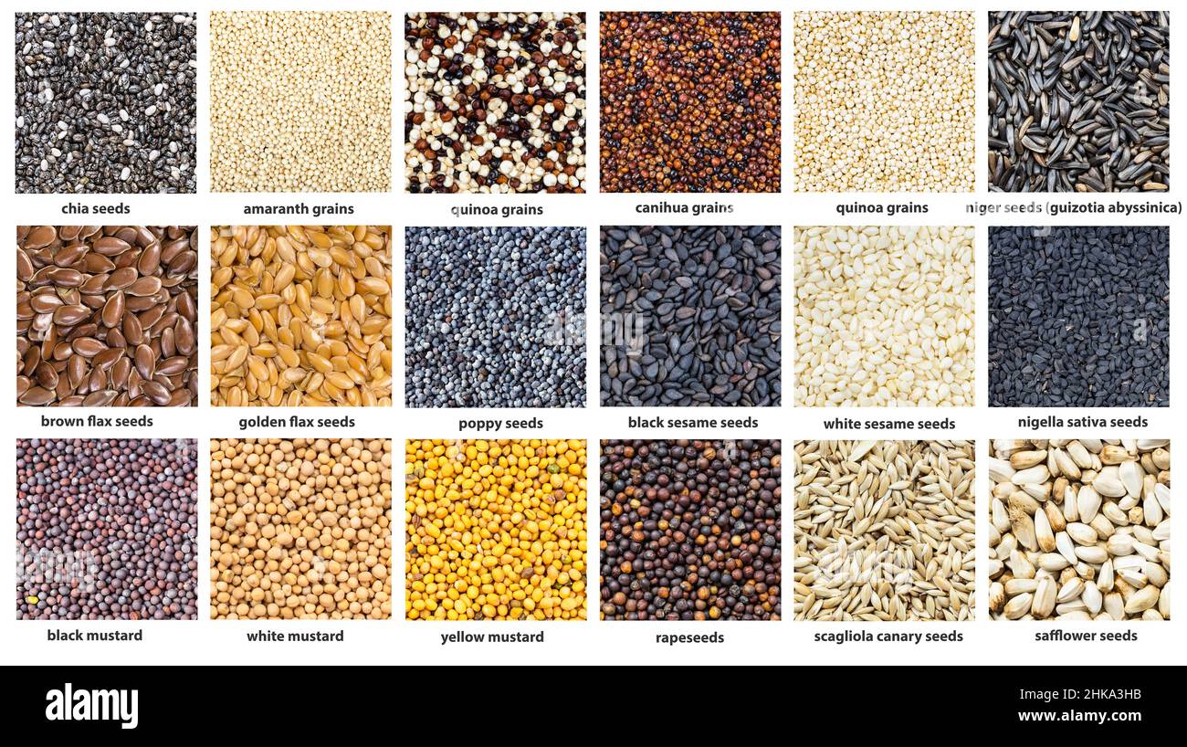 set of square food background - various grains with names close up ...