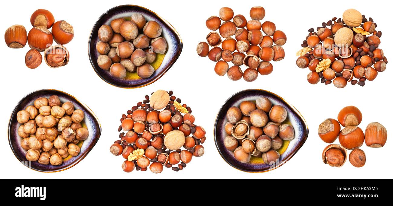 set of various hazelnuts isolated on white background Stock Photo - Alamy