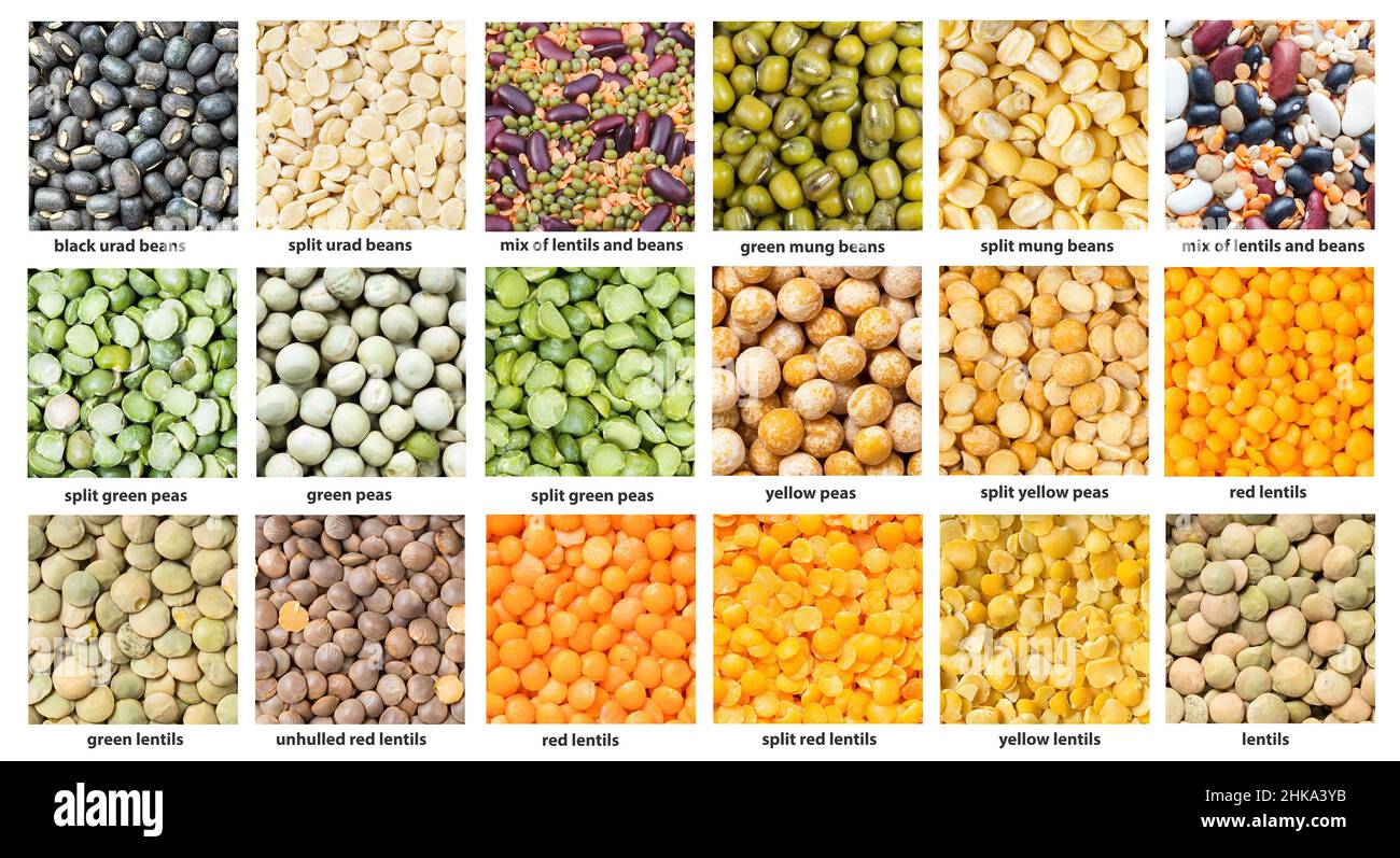 set of square food background - various lentils and peas with names ...