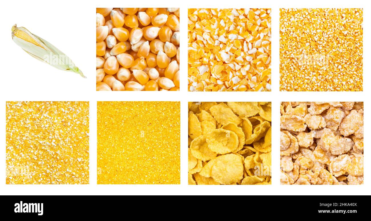 set of square food background - various maize corns close up Stock ...