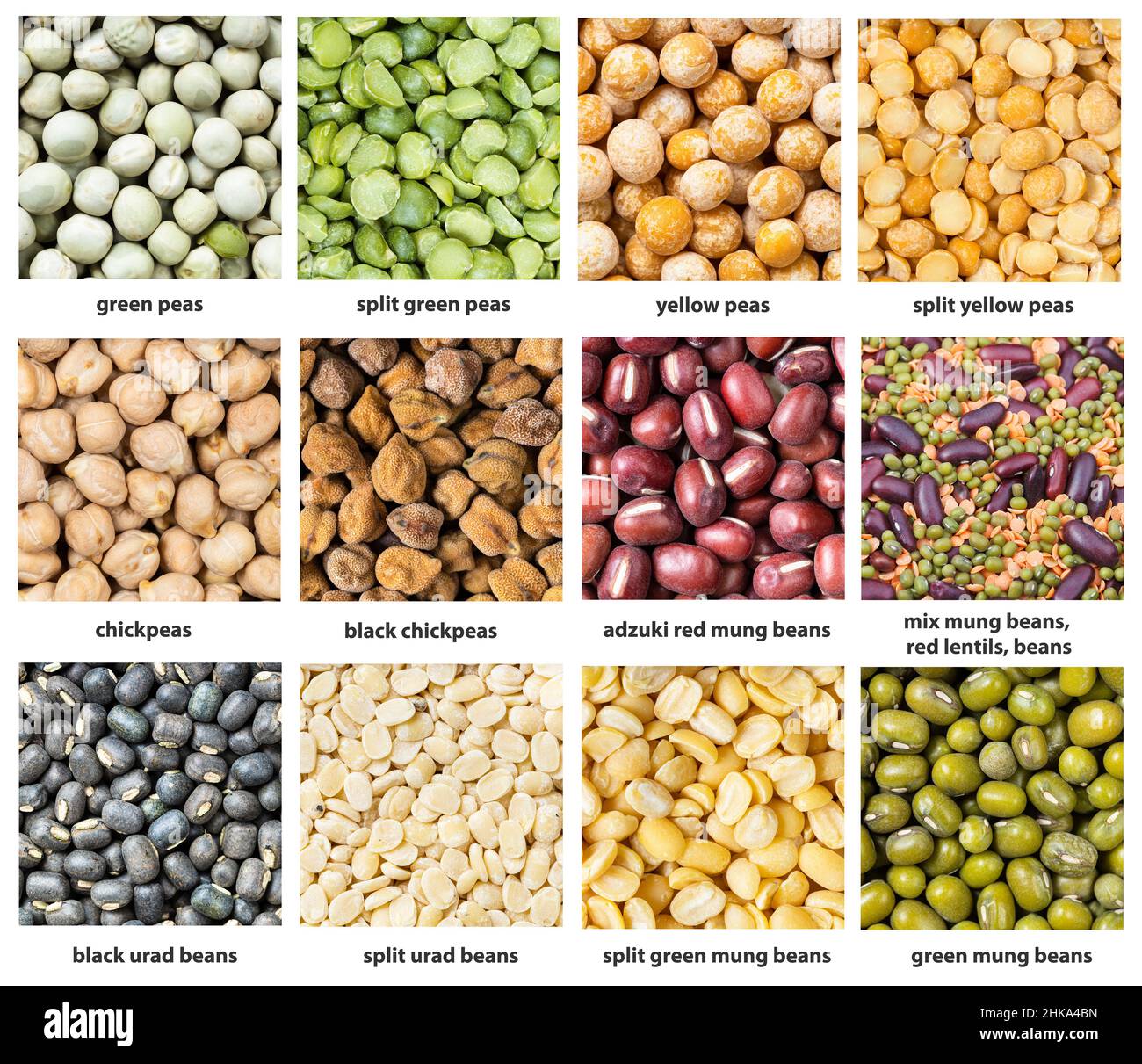 set of square food background - various peas and mungs with names close ...