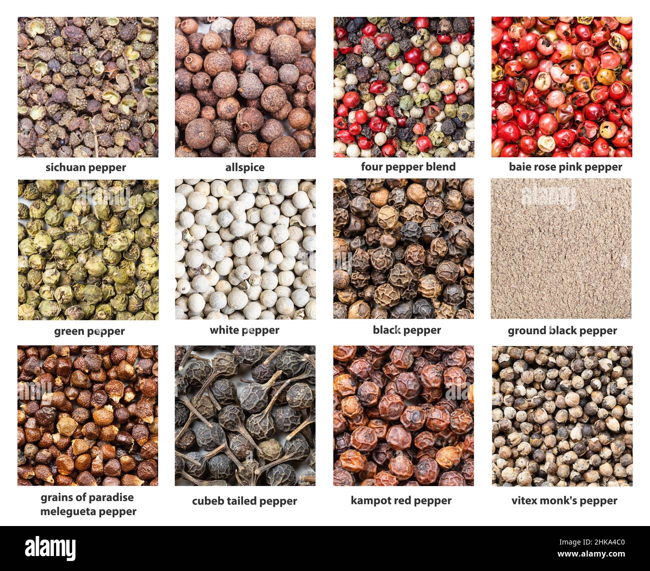 set of square food background - various peppers with names close up ...