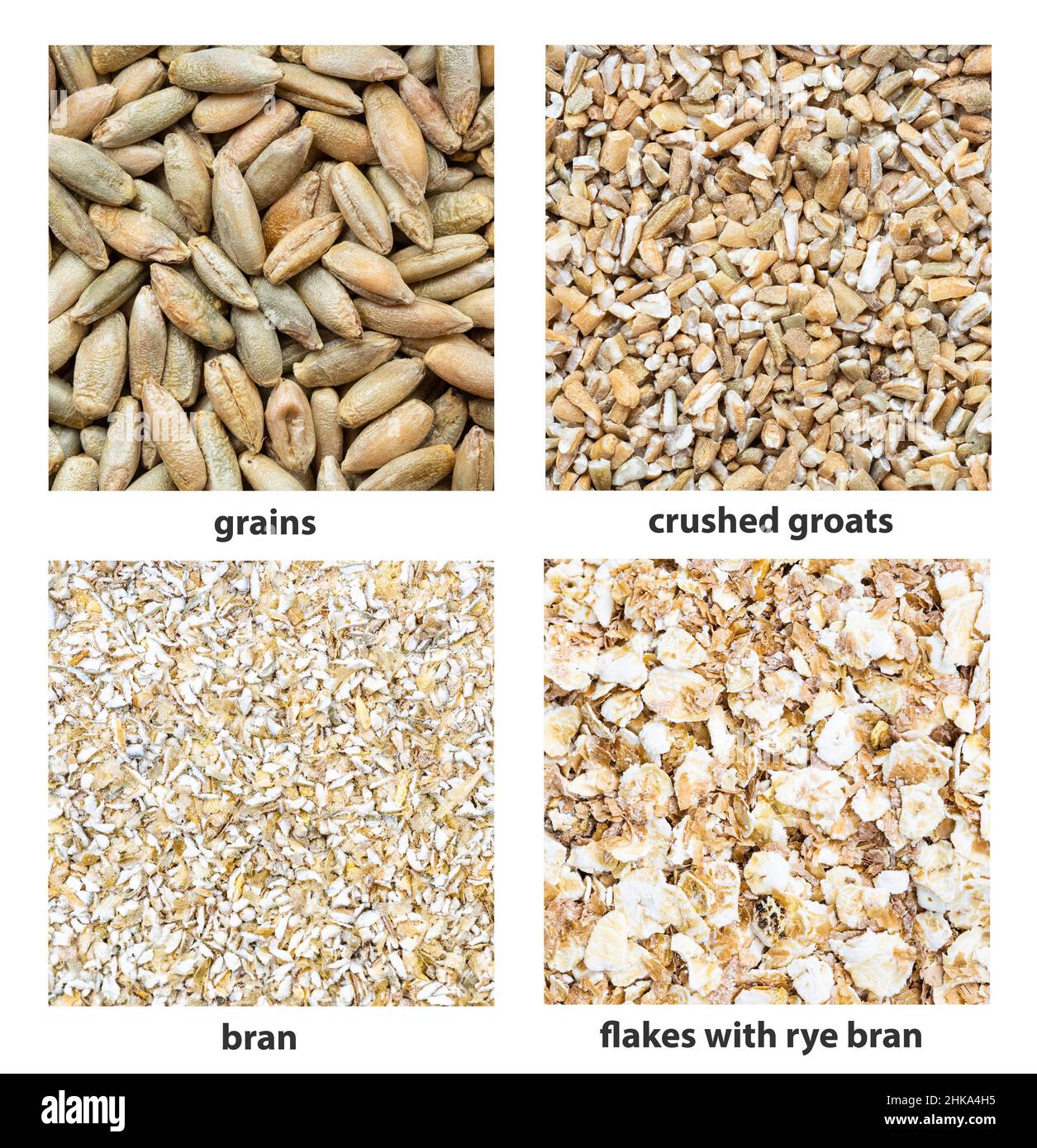 set of square food background - various rye seeds with names close up ...