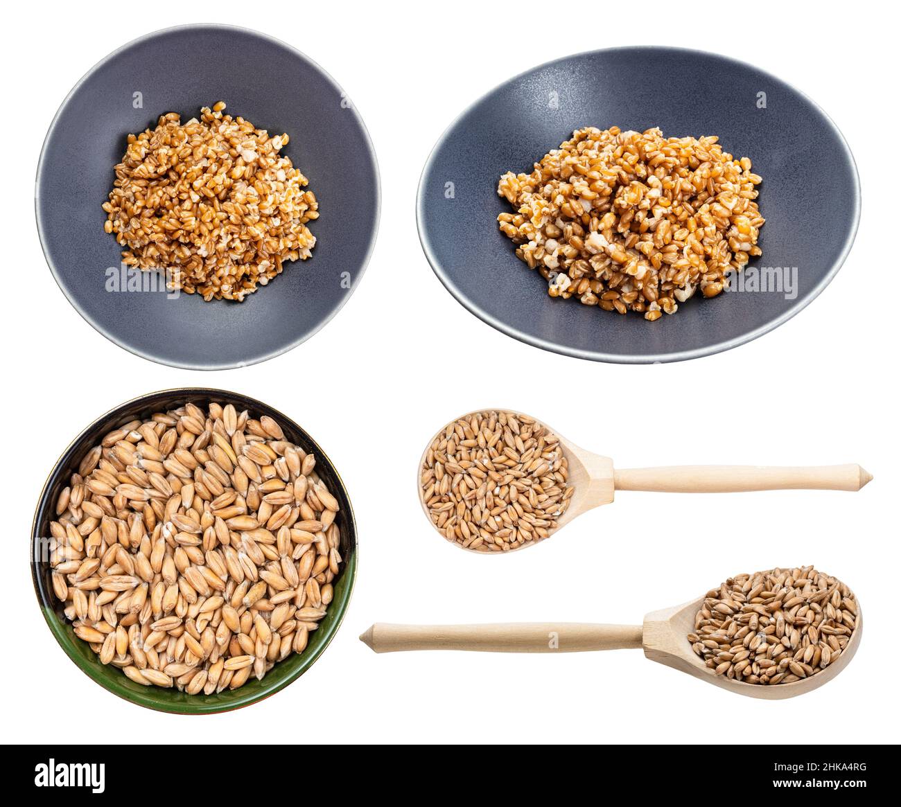 set of various boiled and raw spelt wheat grains isolated on white ...