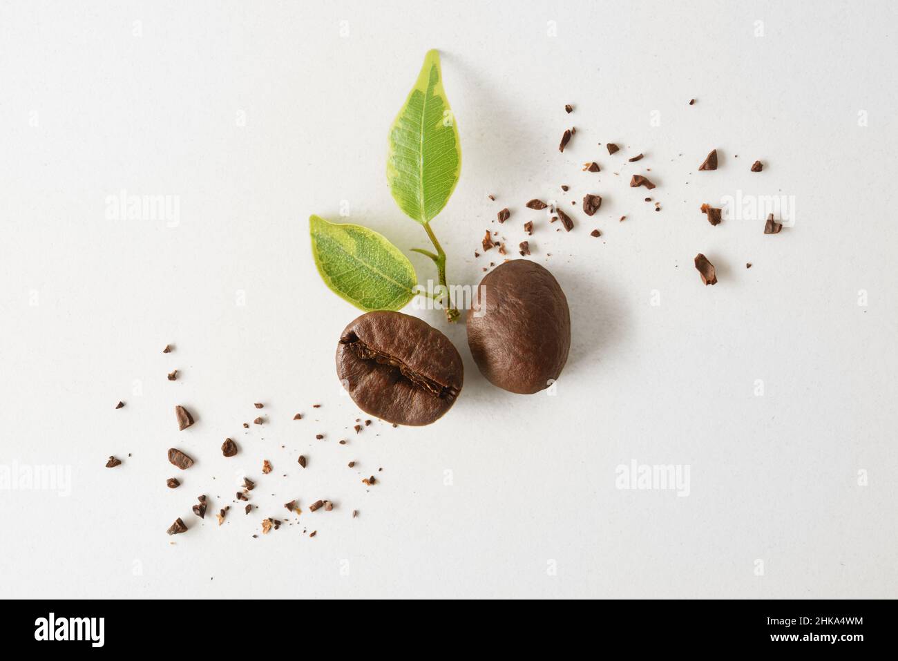 Coffee beans with two leaves and crushed pieces on white table. Top ...