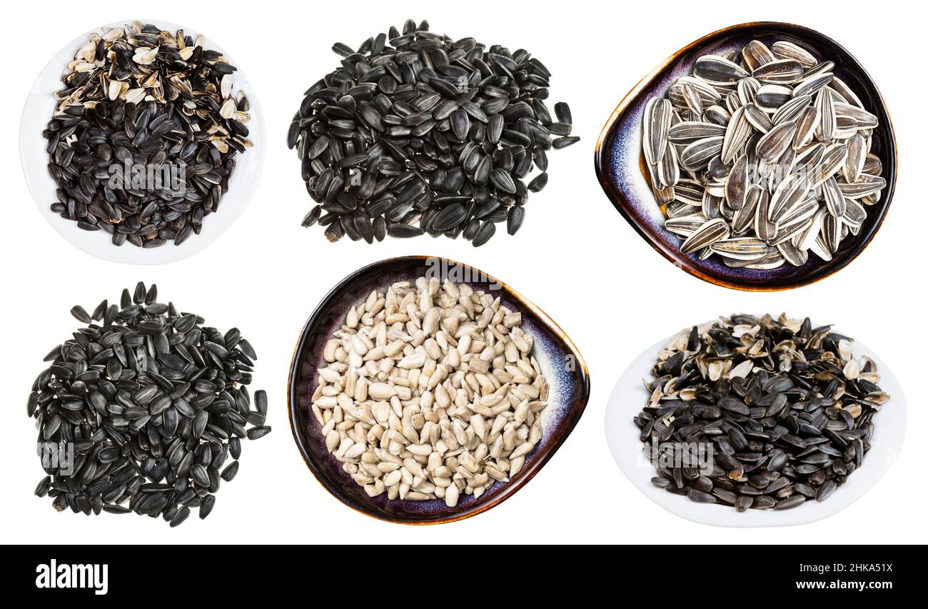 set of various sunflower seeds isolated on white background Stock Photo ...