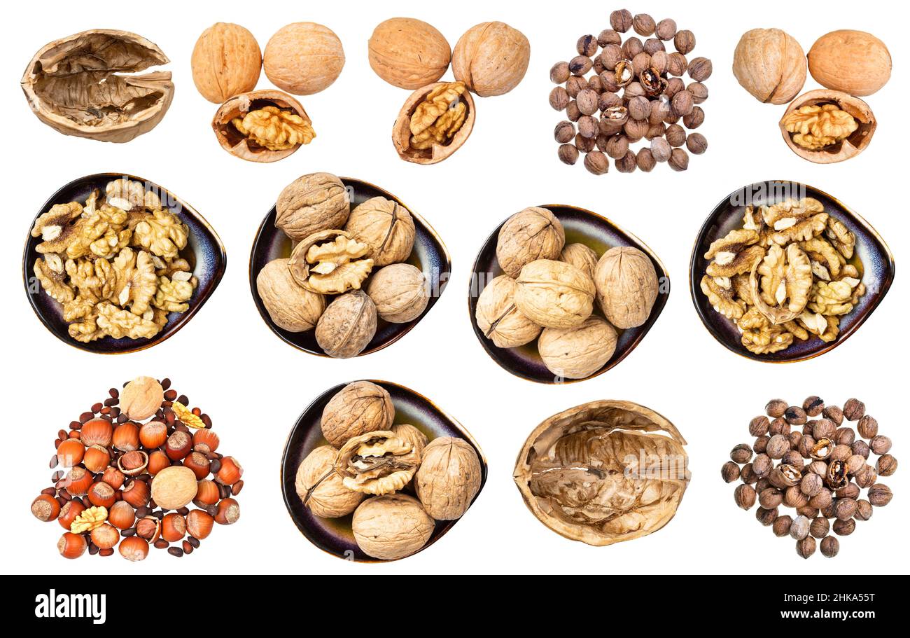set of various walnuts isolated on white background Stock Photo - Alamy