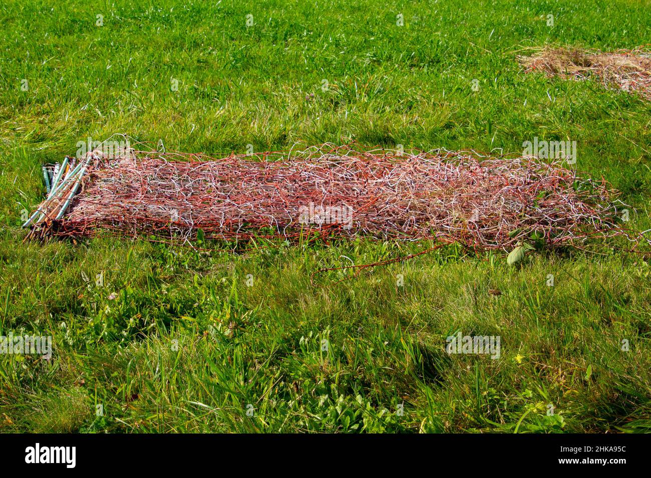 Tangled up electric wire fence lying in the grass Stock Photo - Alamy