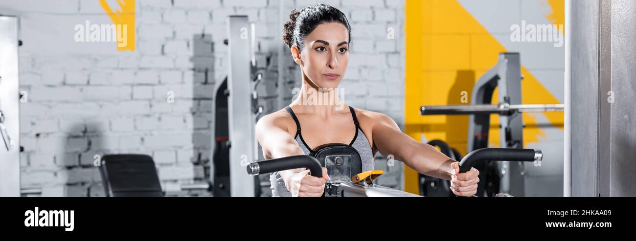 Alex Abs Crunch Machine