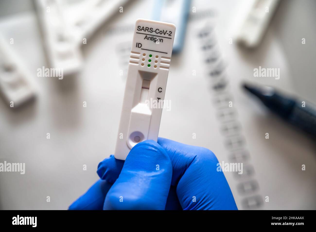 Evaluation of Covid 19 rapid test in a laboratory Stock Photo - Alamy