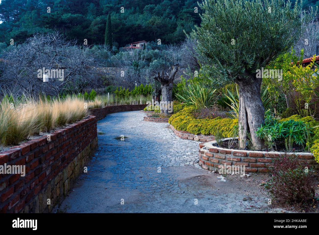 Lovely path with trees, good landscaping Stock Photo - Alamy