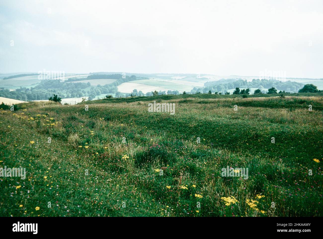 Hod Hill - Iron Age then Roman fort in the Blackmore Vale, Dorset ...