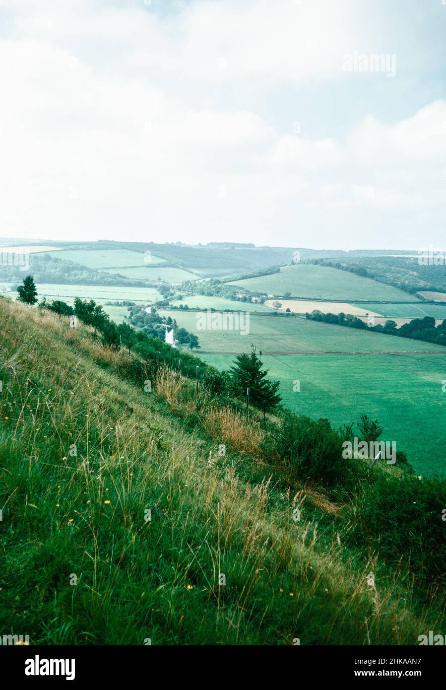 Hod Hill - Iron Age then Roman fort in the Blackmore Vale, Dorset ...