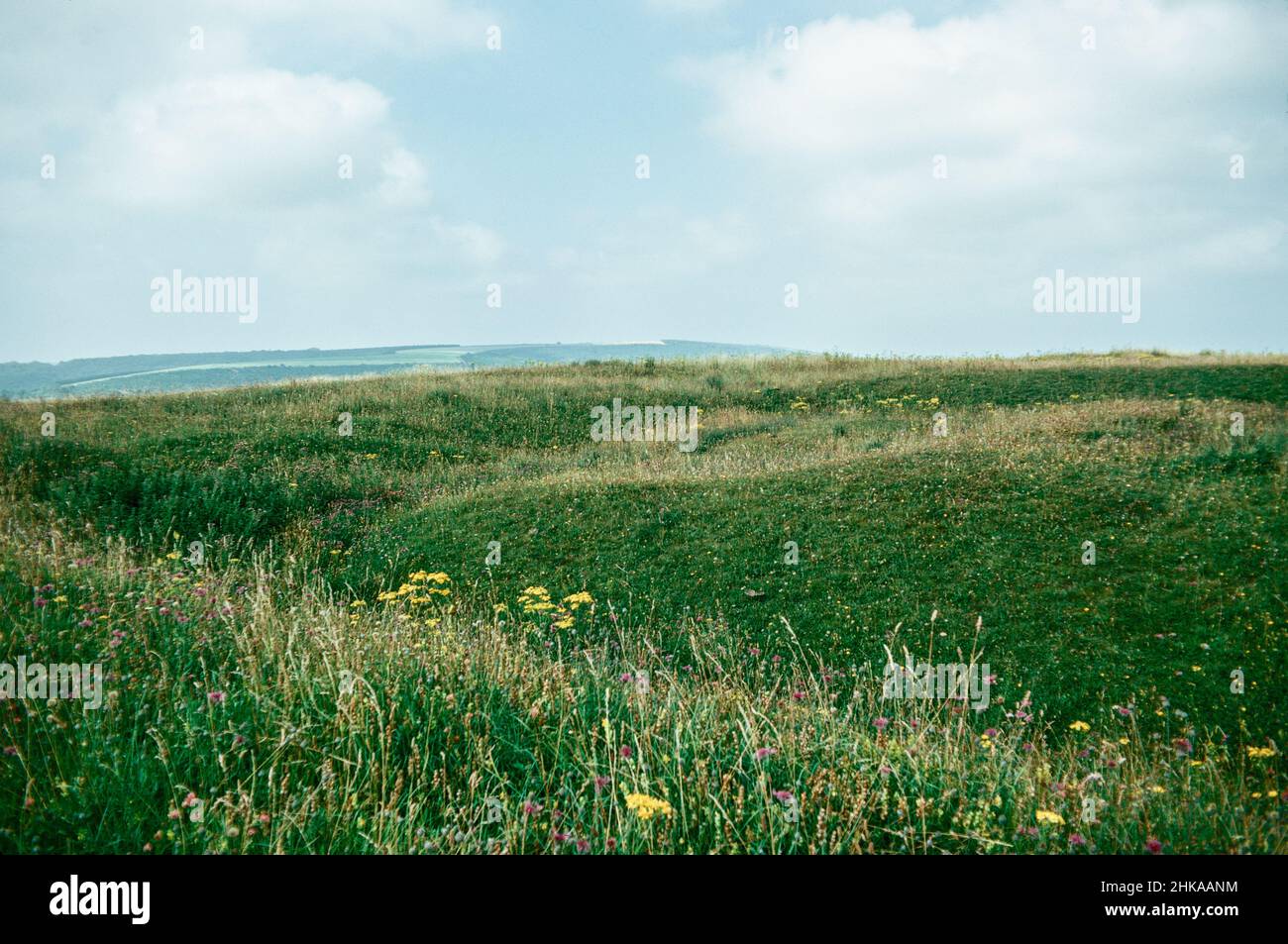 Hod Hill - Iron Age then Roman fort in the Blackmore Vale, Dorset ...