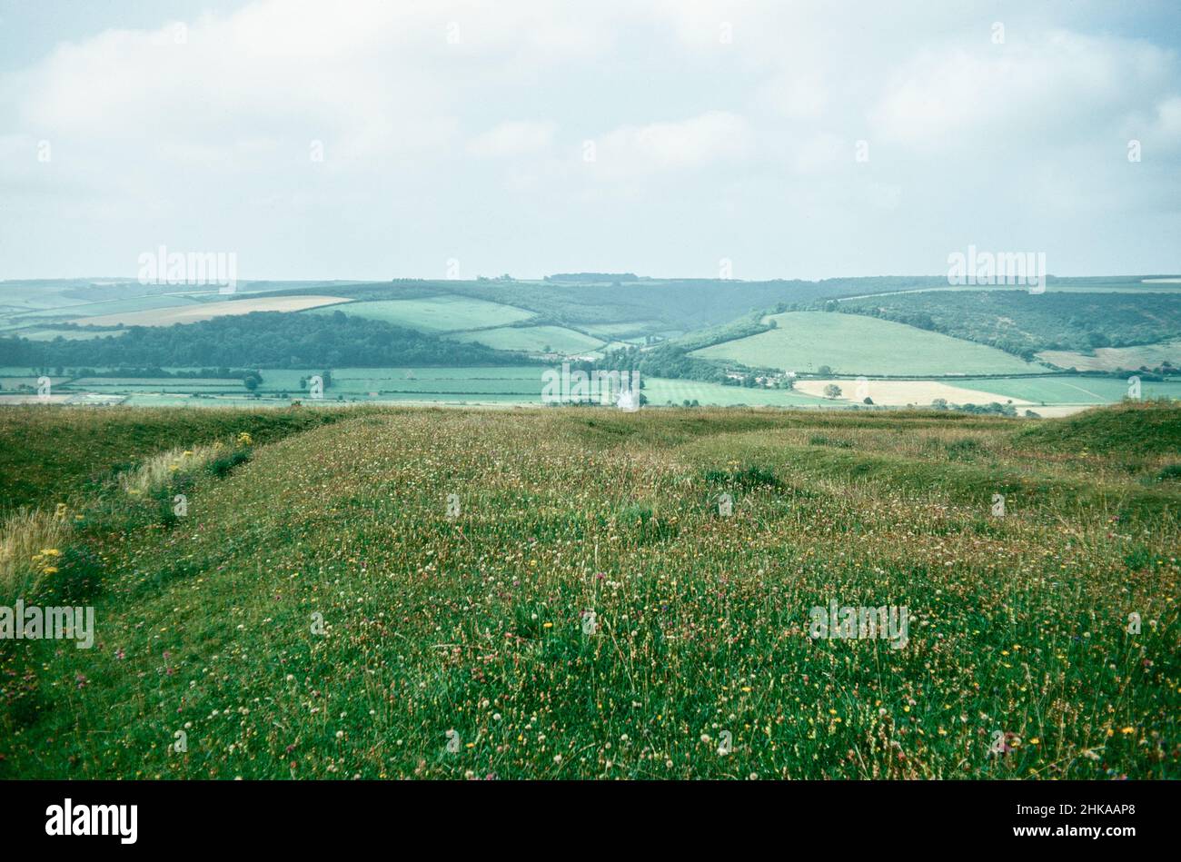 Hod Hill - Iron Age then Roman fort in the Blackmore Vale, Dorset ...