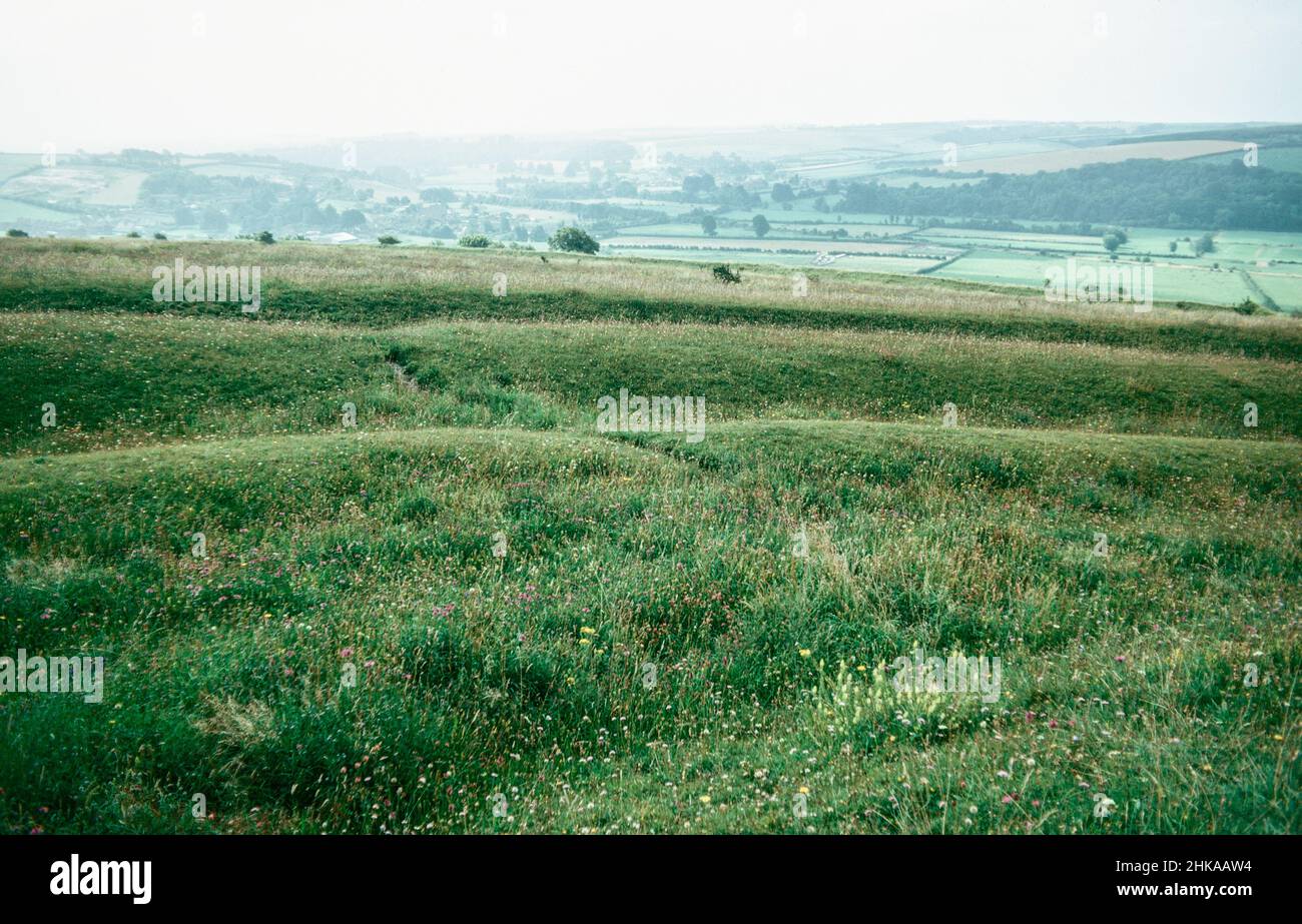Hod Hill - Iron Age then Roman fort in the Blackmore Vale, Dorset ...
