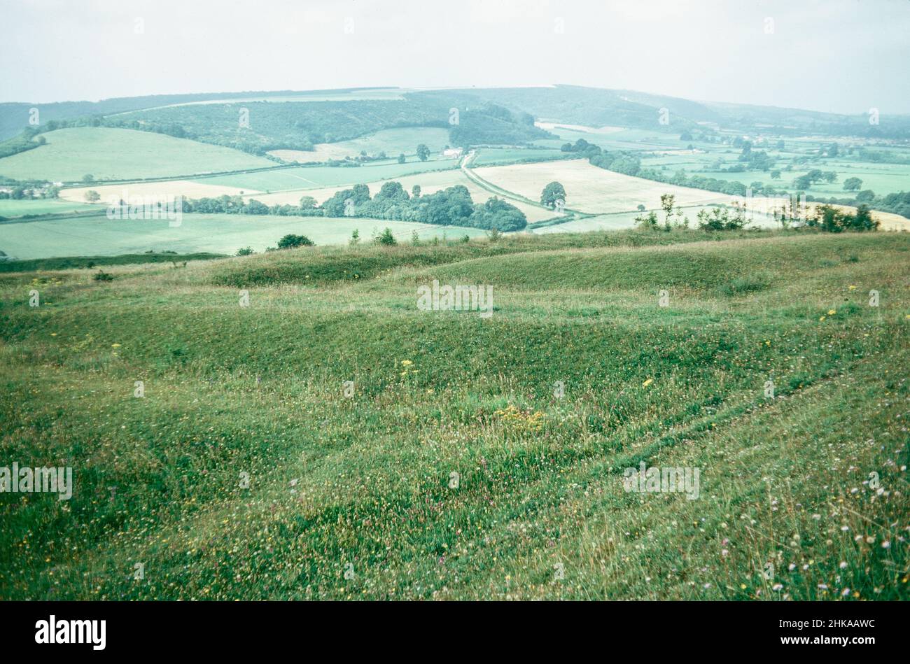 Hod Hill - Iron Age then Roman fort in the Blackmore Vale, Dorset ...