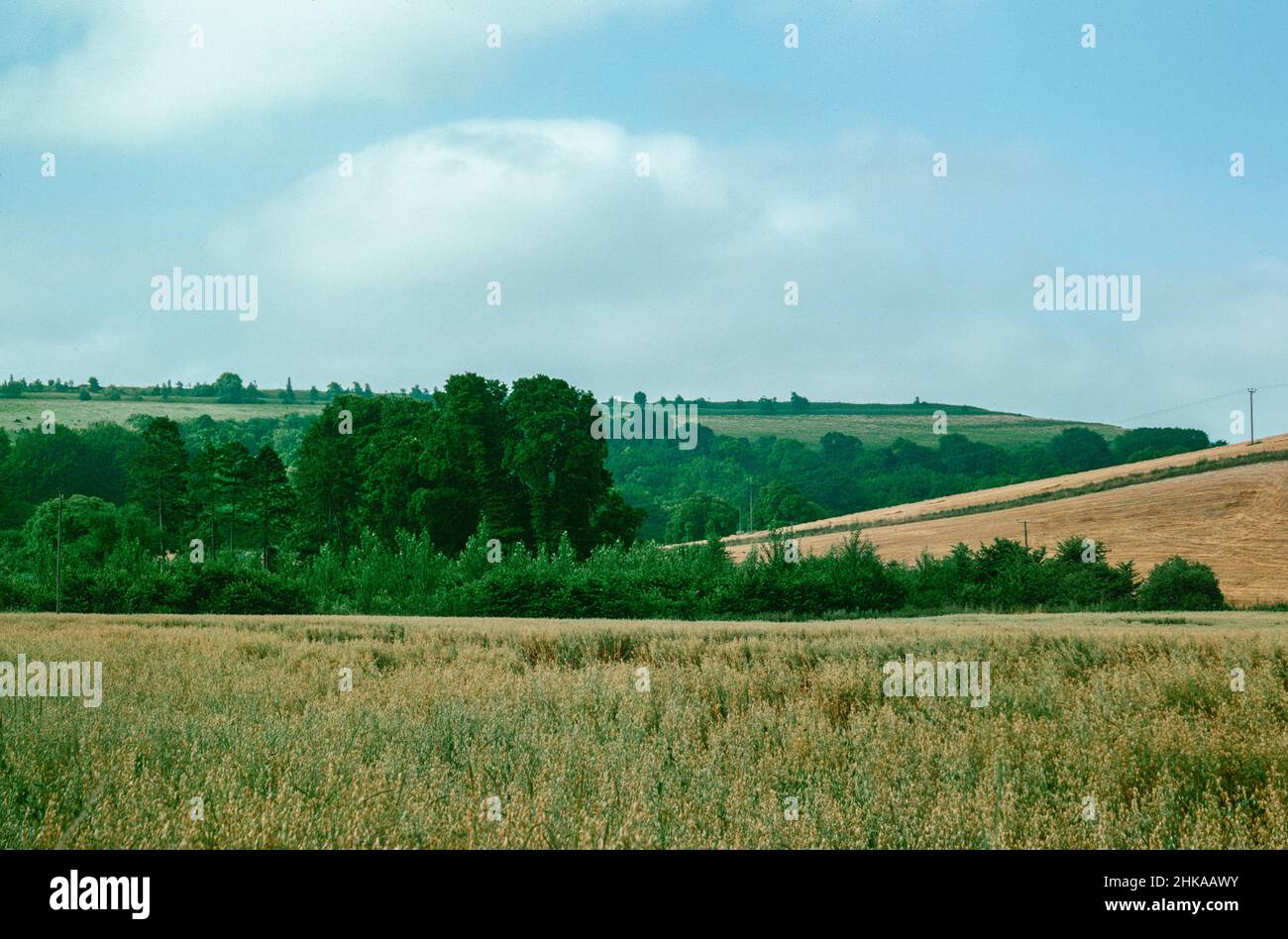 Hod Hill - Iron Age then Roman fort in the Blackmore Vale, Dorset ...