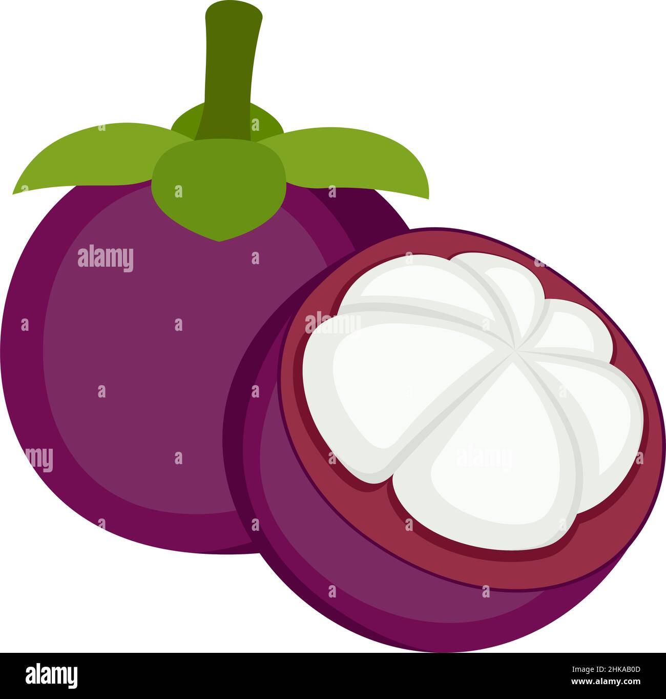 Mangosteen, whole fruit and cut, on white background, vector ...
