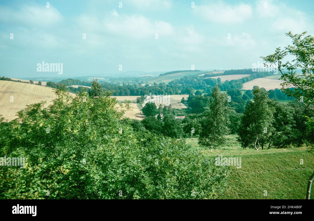 Hod Hill - Iron Age then Roman fort in the Blackmore Vale, Dorset ...