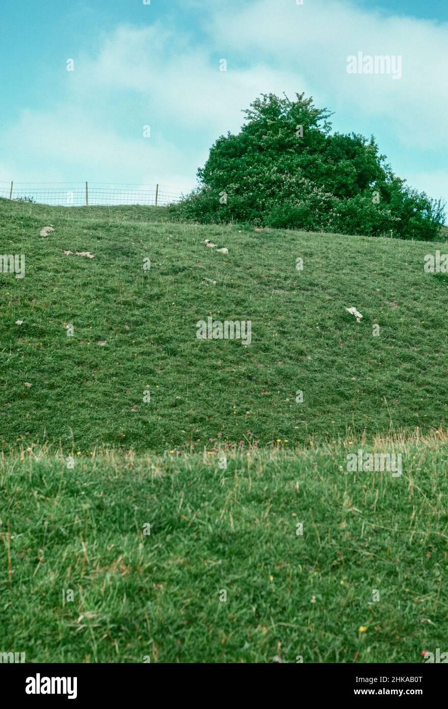 Hod Hill - Iron Age then Roman fort in the Blackmore Vale, Dorset ...