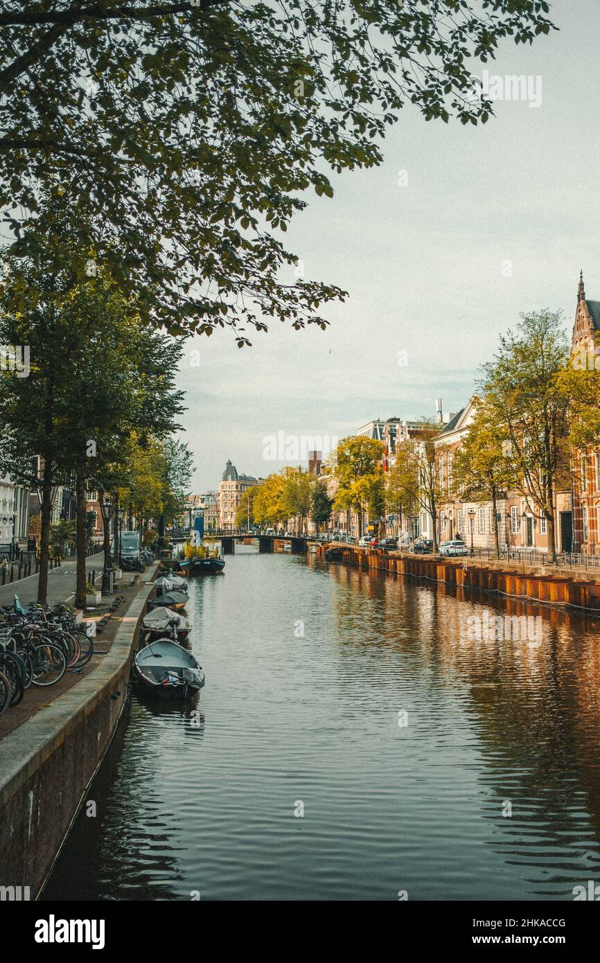 Summer in Amsterdam Stock Photo - Alamy