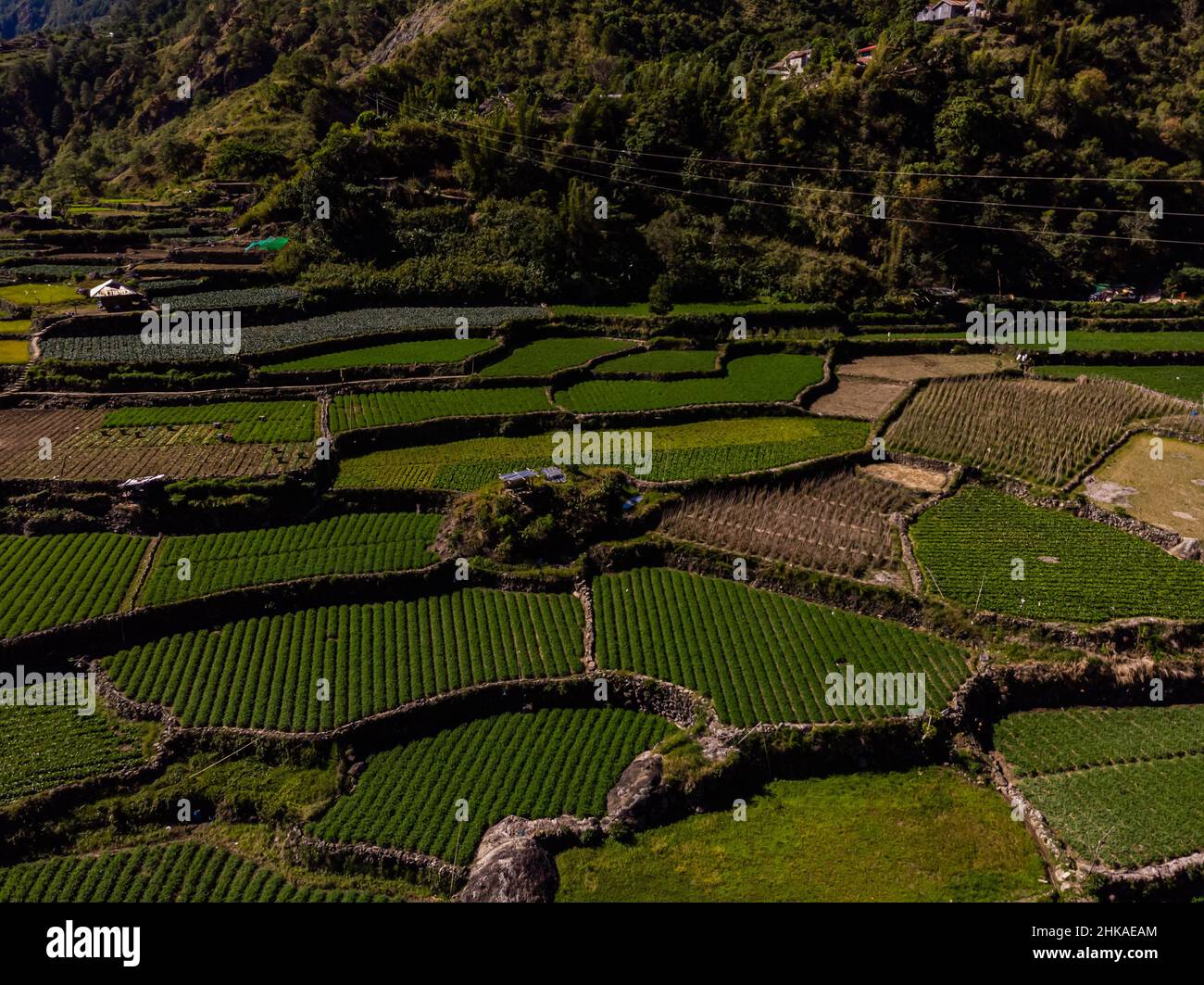 Aerial drone shot rice terraces hi-res stock photography and images - Alamy