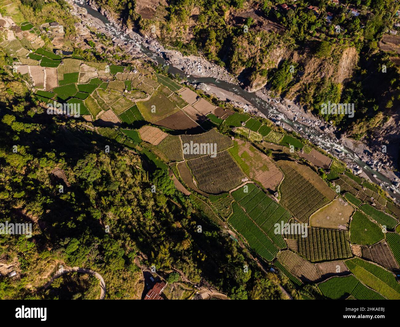 Philippine cordilleras aerial rice hi-res stock photography and images ...
