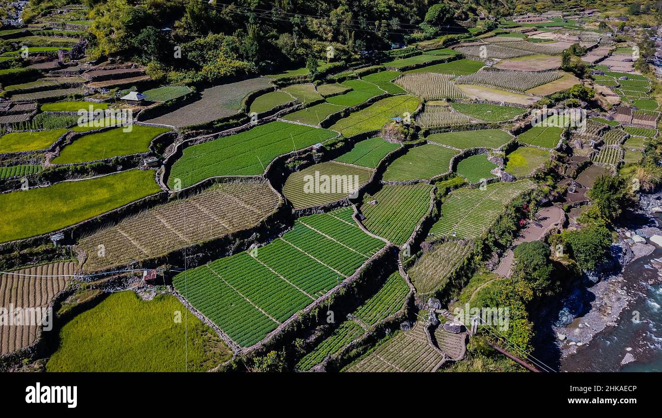Bird's eye view of farm lands rice paddies vegetable gardens in Kabayan ...