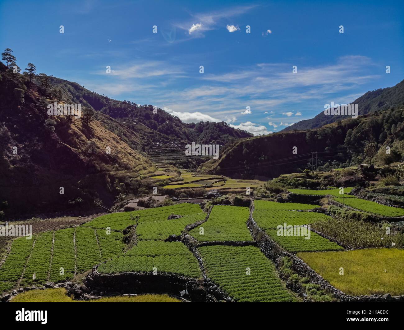 Scenic Aerial Mountainous Valley with rice farms paddy terrace gardens ...