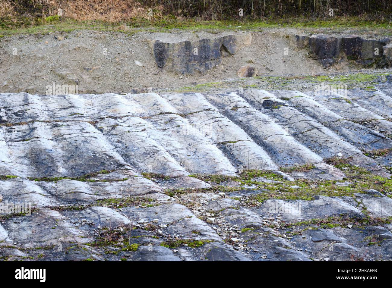 Fossilized seafloor with large sand ripples in Lower Saxony, Germany ...