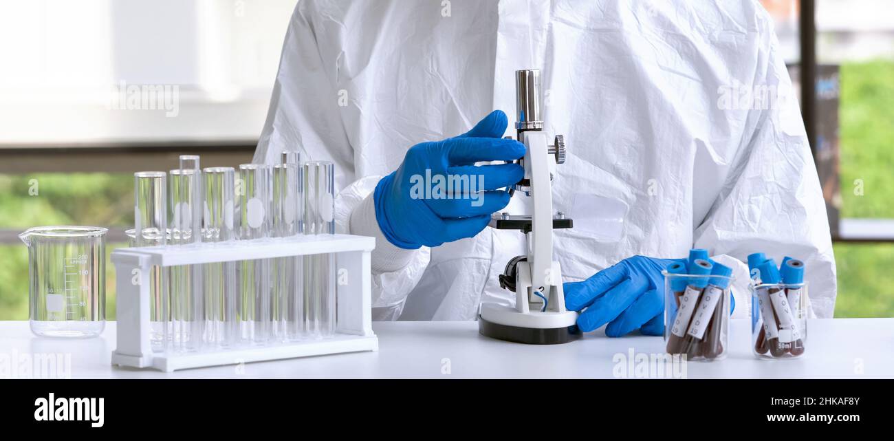 Scientist use microscope to look at blood sample of infected people ...