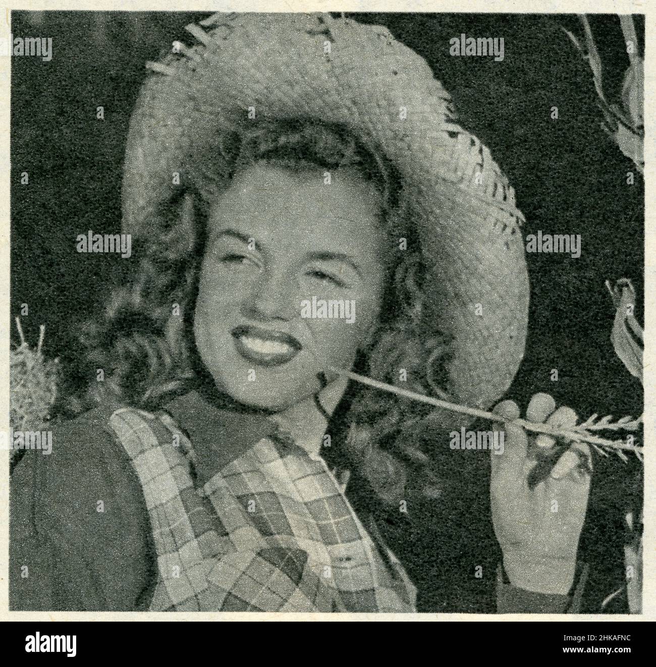 Marilyn Monroe ,née Norma Jeane Mortenson le 1ᵉʳ juin 1926 à Los ...