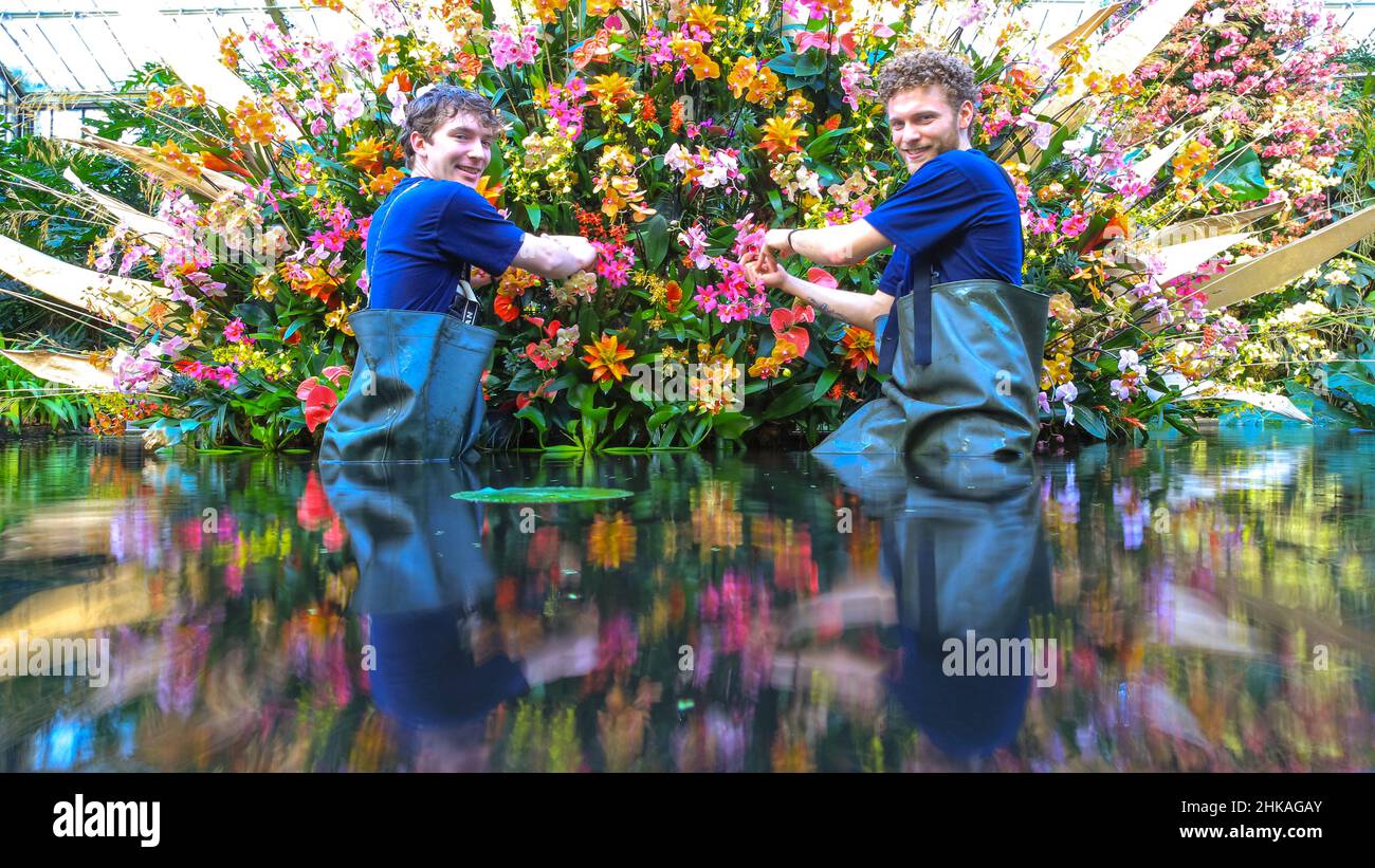 Robert antonetti hi-res stock photography and images - Alamy