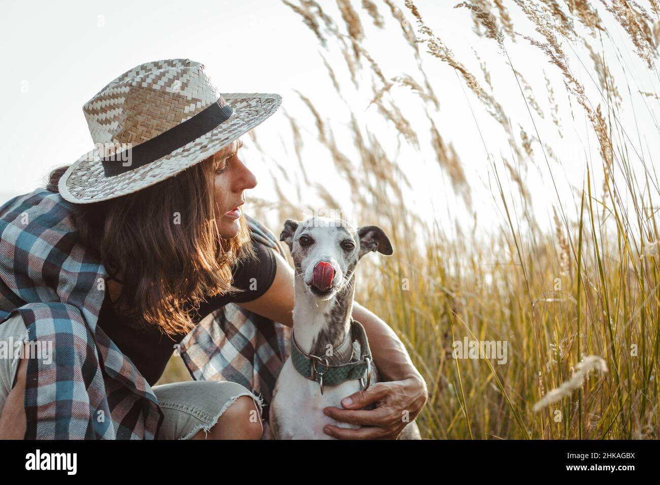 Pet owner woman kissing her cute dog. Woman with whippet in nature ...
