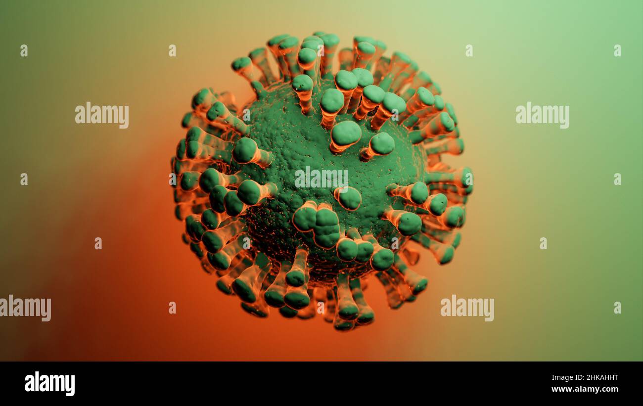Hi virus immune system hi-res stock photography and images - Alamy