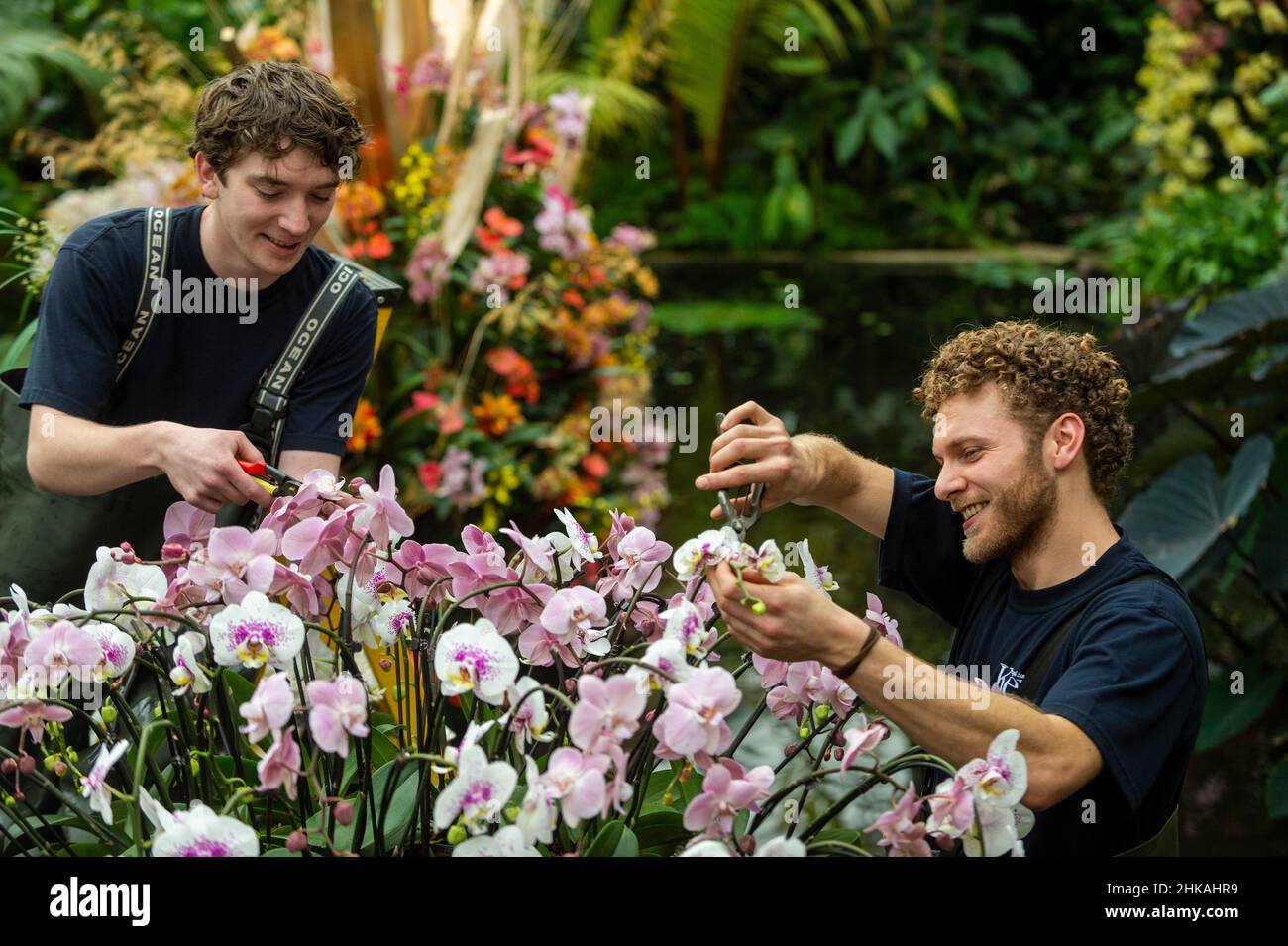 Biodiversity display gardens hi-res stock photography and images - Alamy