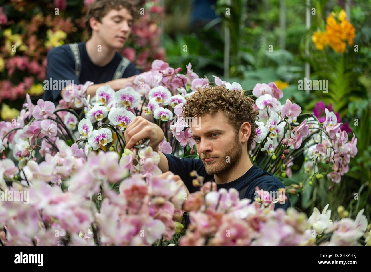 Biodiversity display gardens hi-res stock photography and images - Alamy