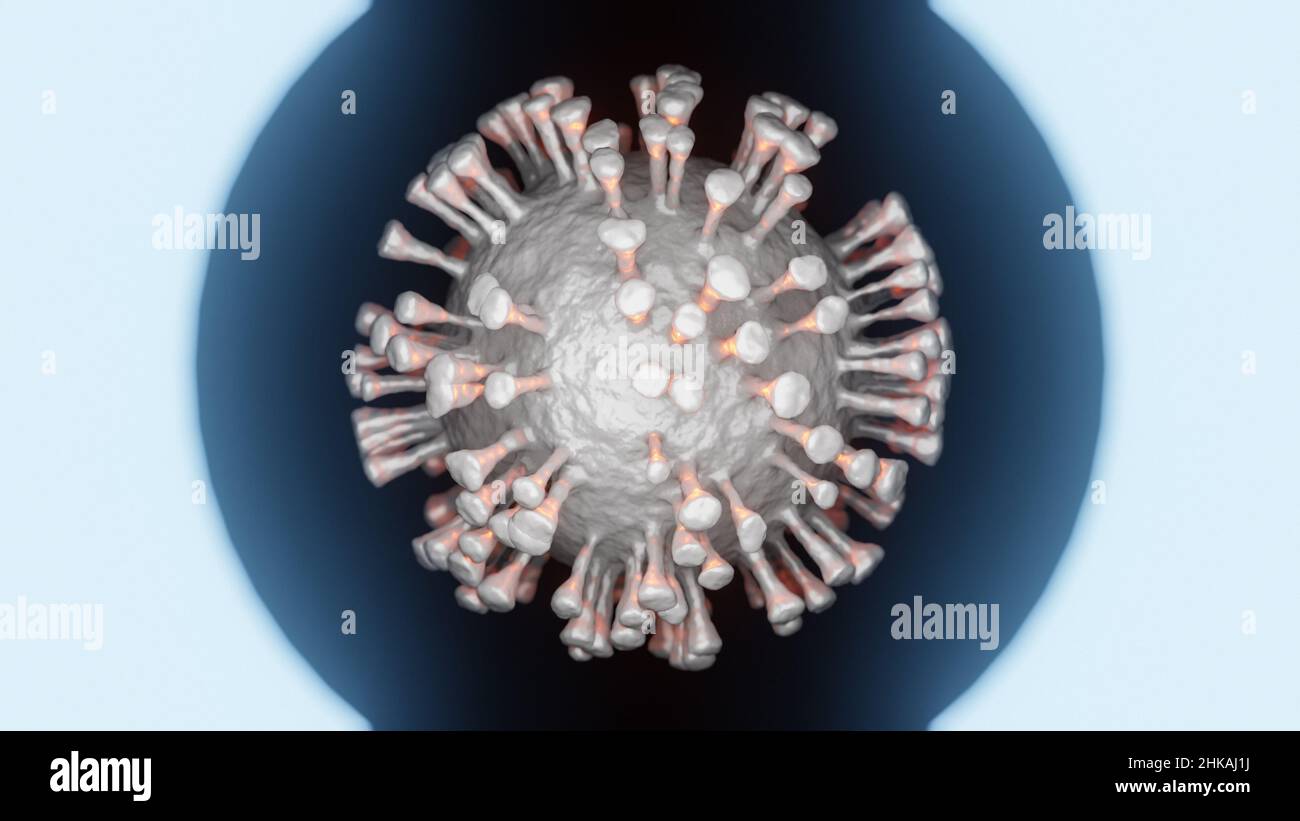 Bacteria cell under light microscope hi-res stock photography and ...