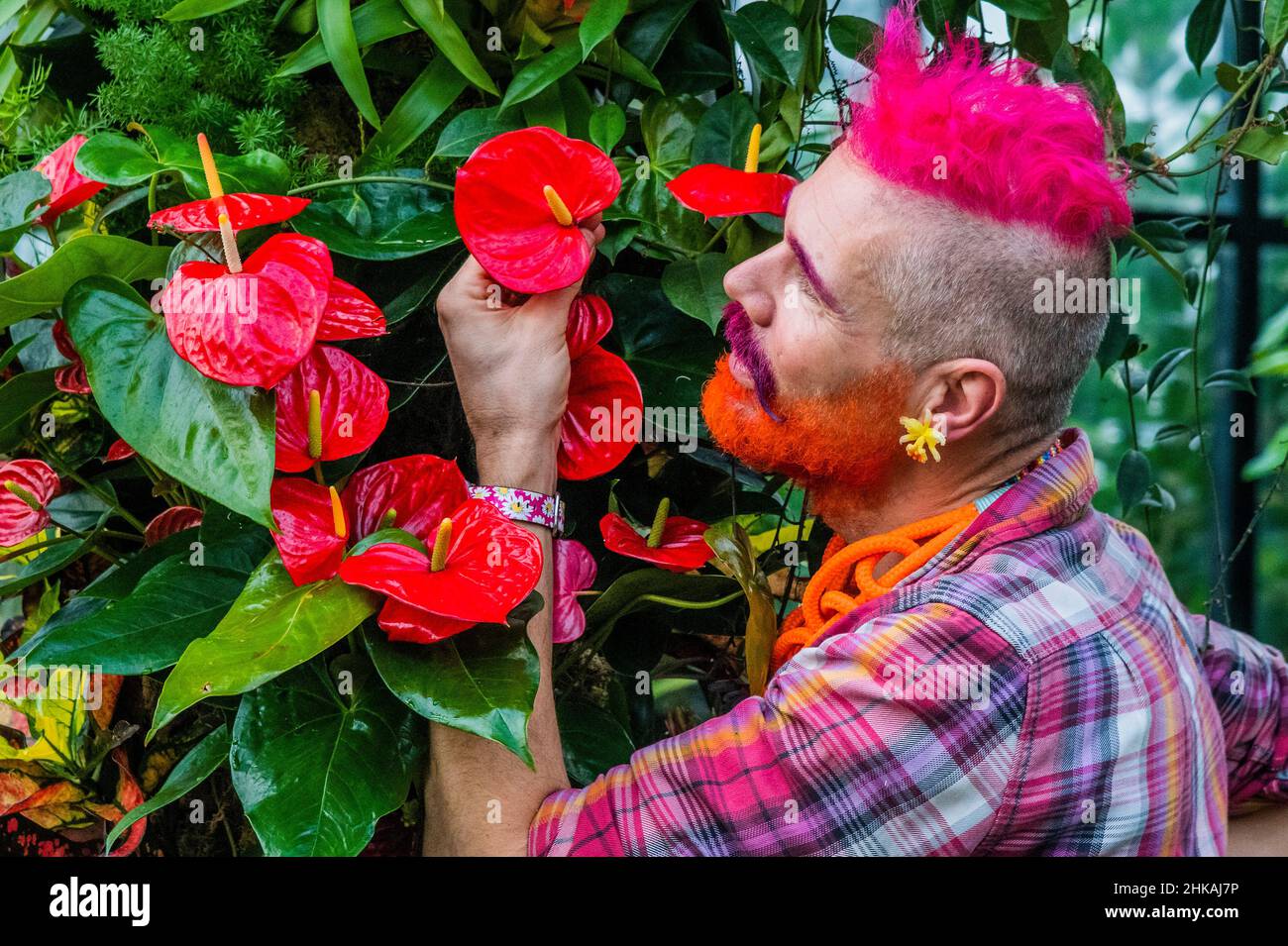 London, UK. 3rd Feb, 2022. Henck Roling, in house florist makes final ...
