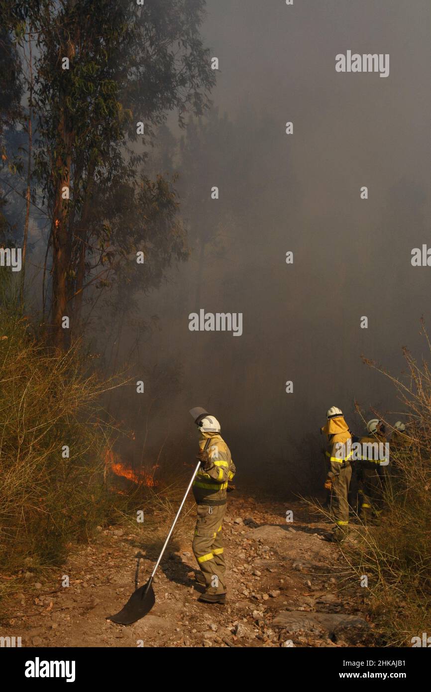 Sholves hi-res stock photography and images - Alamy