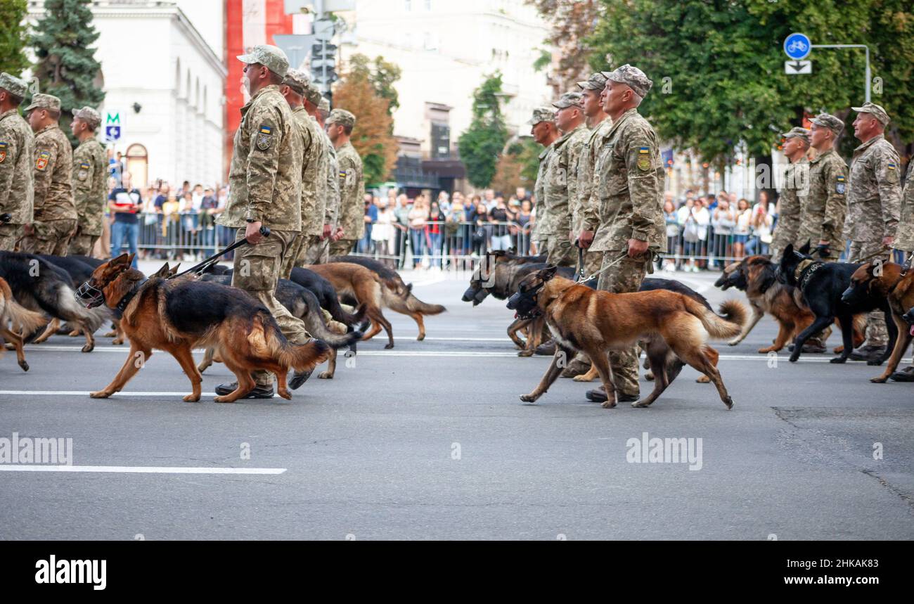 Ukraine, Kiev - August 18, 2020: Border guards with shepherd dogs. The ...