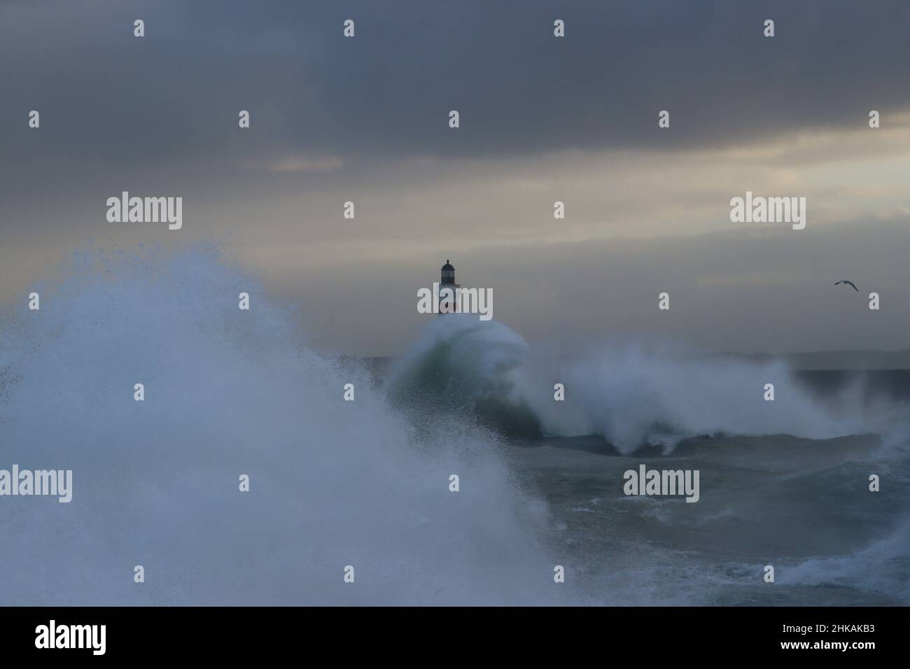 Golden Horn, Fraserburgh Stock Photo - Alamy