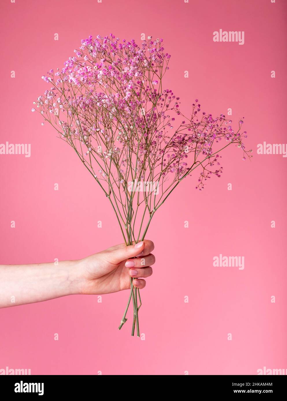 Hand holding spring flowers, romantic gift on pink background. Postcard ...