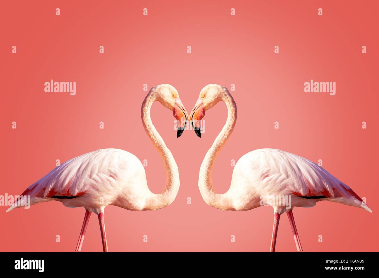Making a heart hi-res stock photography and images - Alamy
