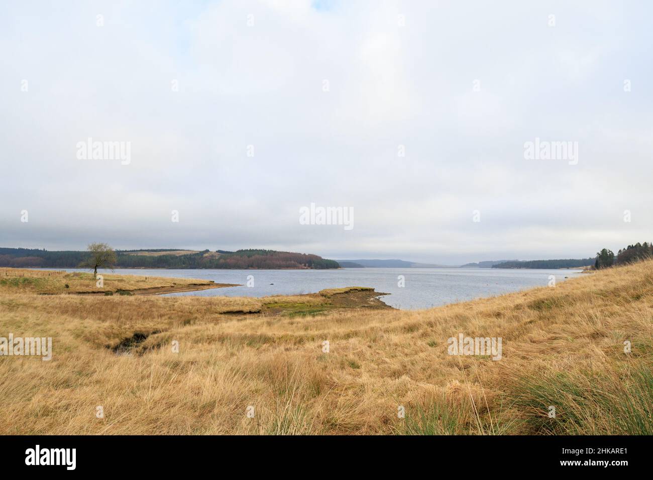 Kielder England: 13th January 2022: Kielder Reservoir view from Rushy ...
